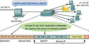Uart Stm32: A Comprehensive Guide For Stm32 Microcontrollers - Life Beyond Code