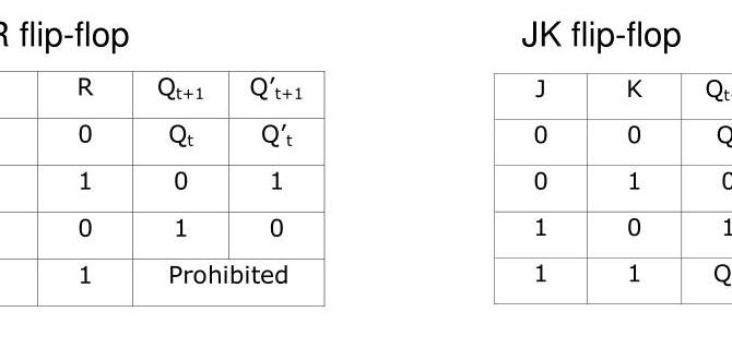 Discover The Different Flip Flop Types For Ultimate Comfort - Life ...