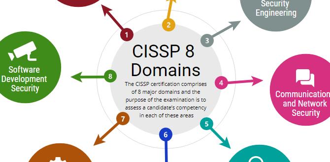 What Is Cissp In Cyber Security: Everything You Need To Know - Life ...